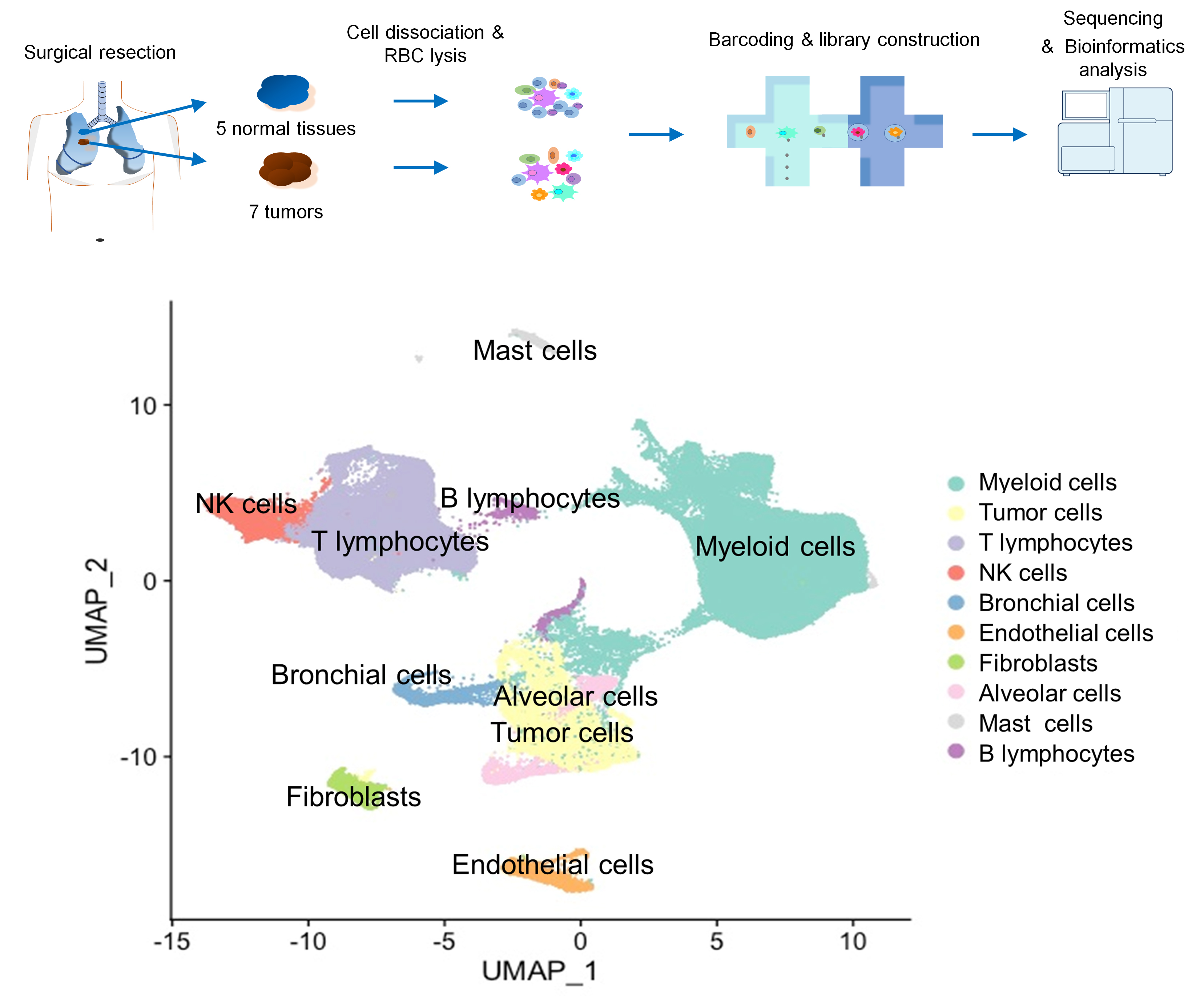 The SIAIS Research Team Reveals the Heterogeneous Tumor Cells and Their ...